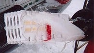 What Weather Can Do To Your Fiber Optic Cables - Part 2: Ice